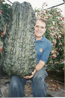 What Are the Largest Vegetables Ever Grown? | Networx