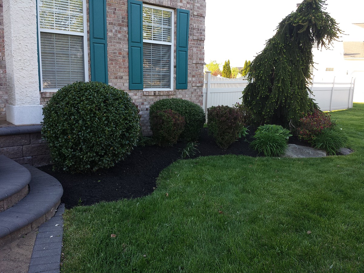 LRM Landscaping LLC Camden, NJ, 08103 | Networx