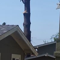 Prodigy Works Concord, CA, 94520 | Networx