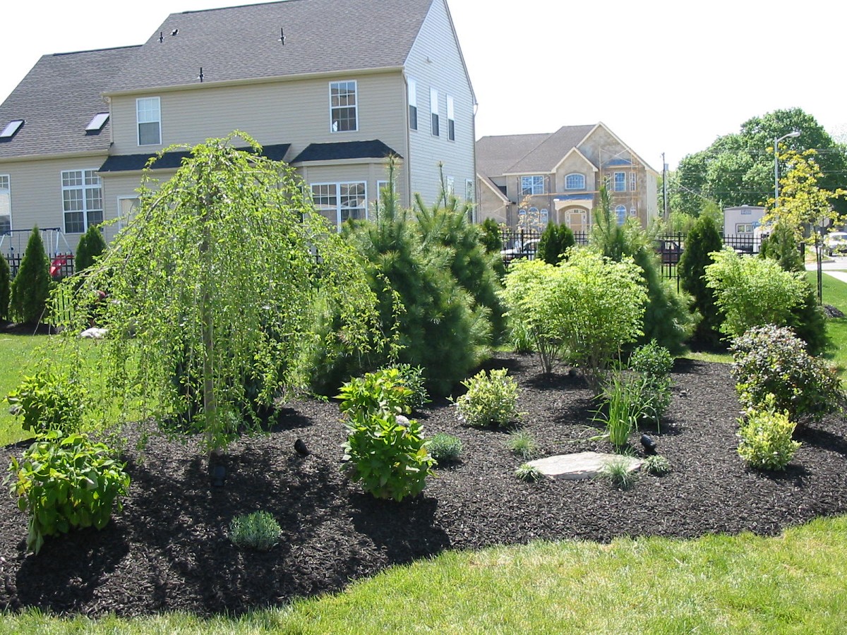 Turf Rescue Haslet, TX, 76052 | Networx