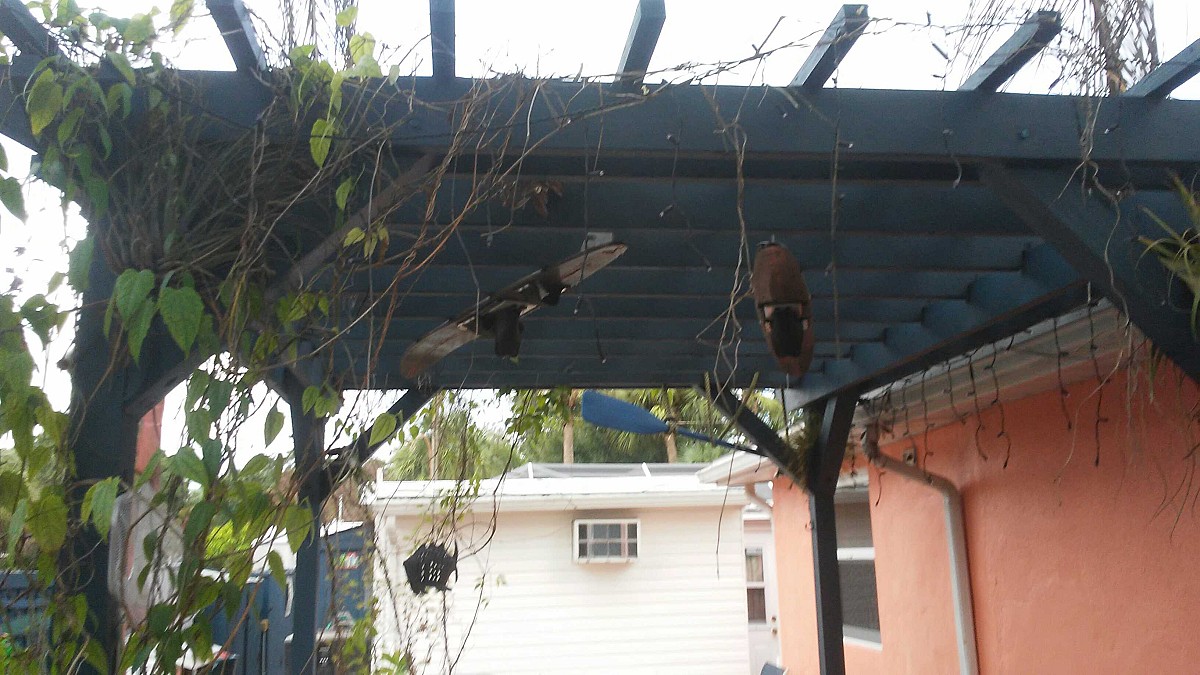 William Intrieri Fort Myers, FL, 33905 | Networx