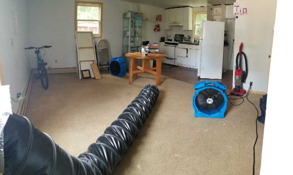 Nexgen Pest & Wildlife Solutions Jackson Township, NJ, 08527 | Networx