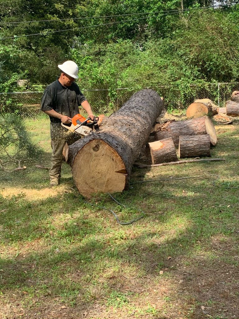 Garcia Professional Tree Service Katy, TX, 77449 | Networx