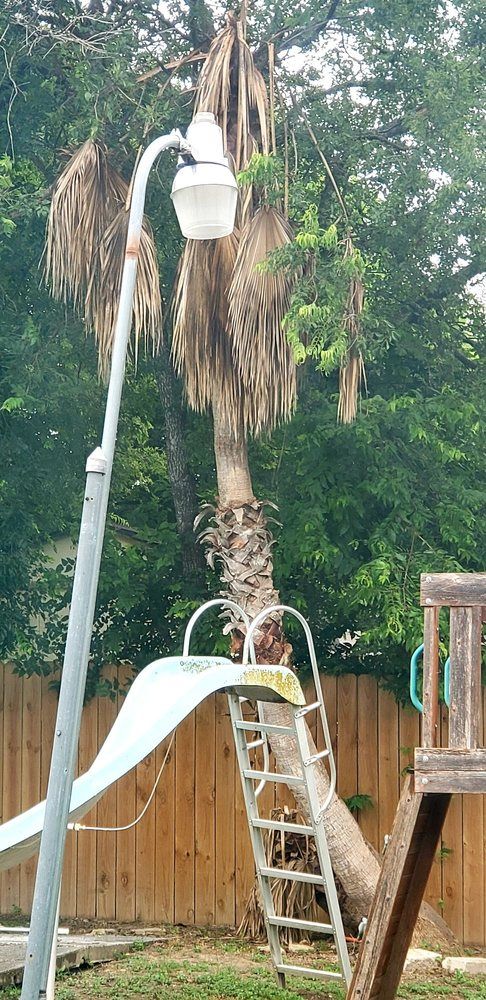 Cowboy Tree Service San Antonio, TX, 78212 | Networx