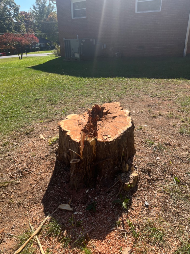Wade's Tree and Stump Removal Asheboro, NC, 27205 | Networx