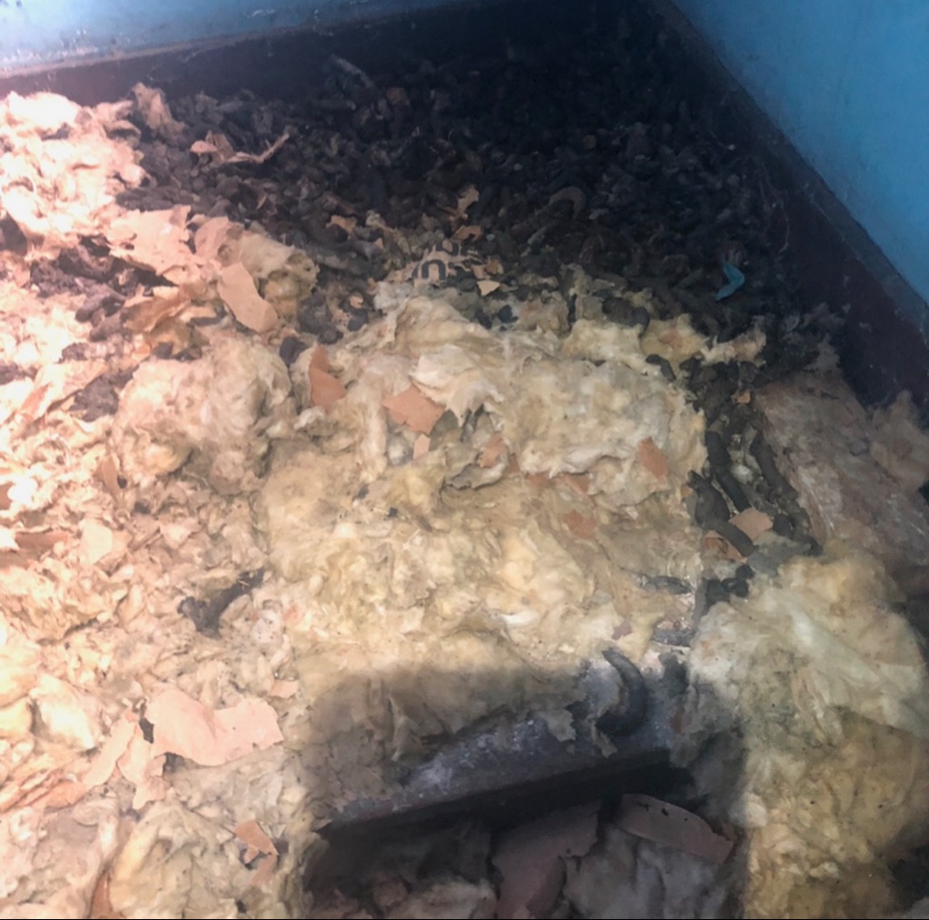 Rodent X Cleveland, OH, 44118 | Networx