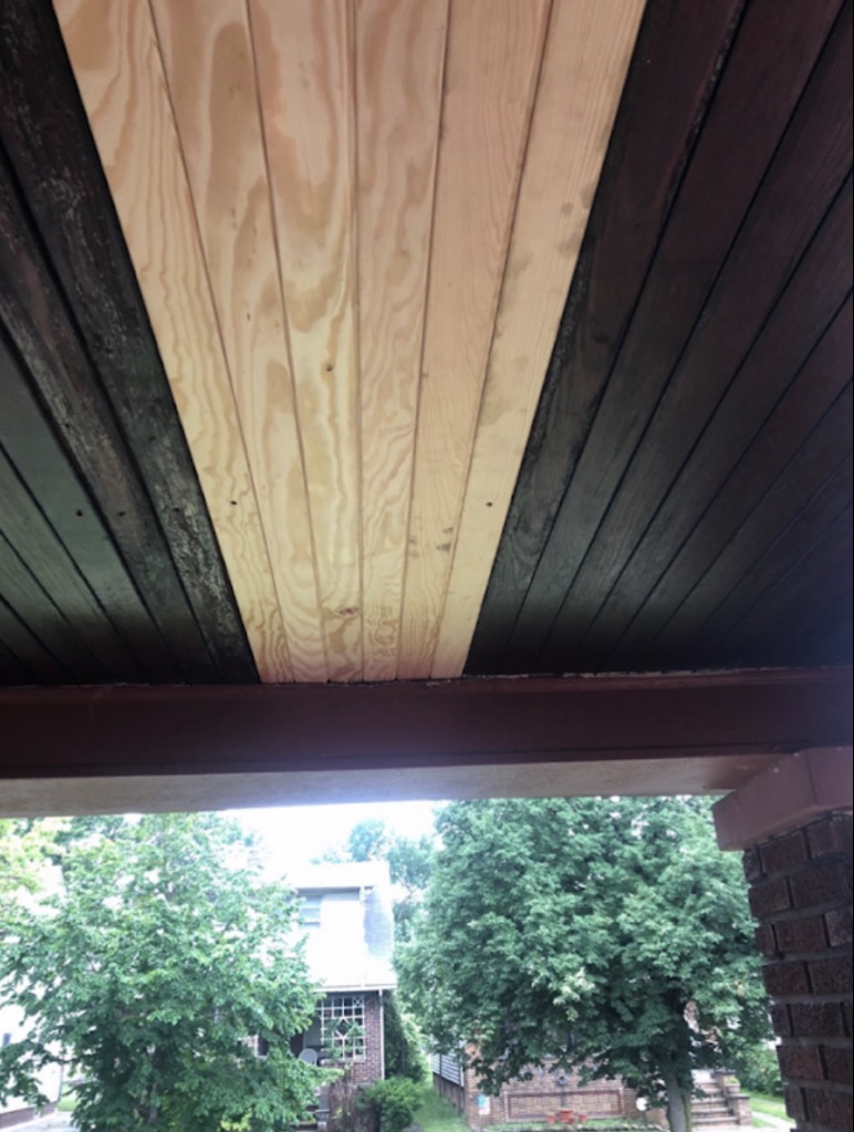 Rodent X Cleveland, OH, 44118 | Networx