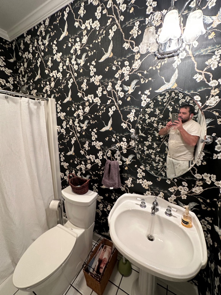 Cam Painting and Restoration Lenoir, NC, 28645 | Networx