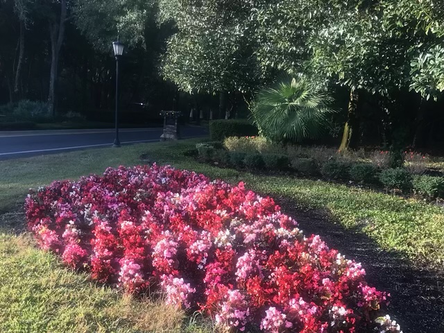 Ortega Lawn Care Deland, FL, 32724 | Networx