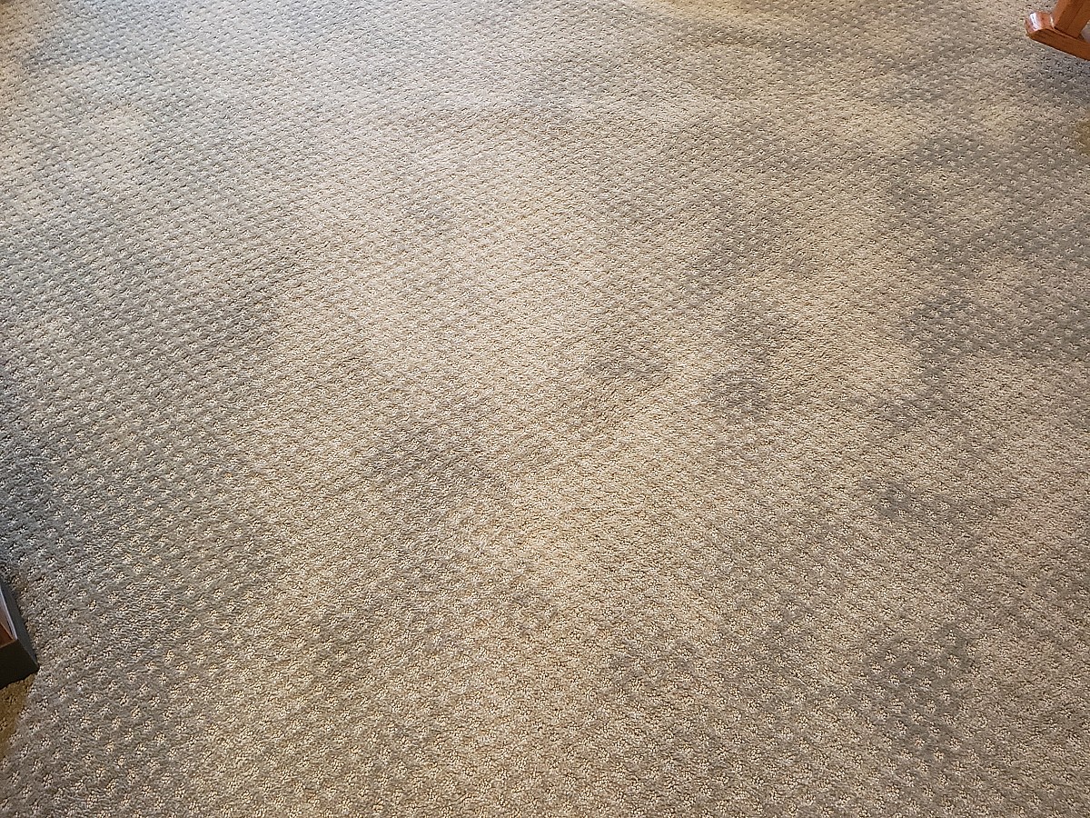 No Problem Carpet Care Fort Worth, TX, 76119 | Networx