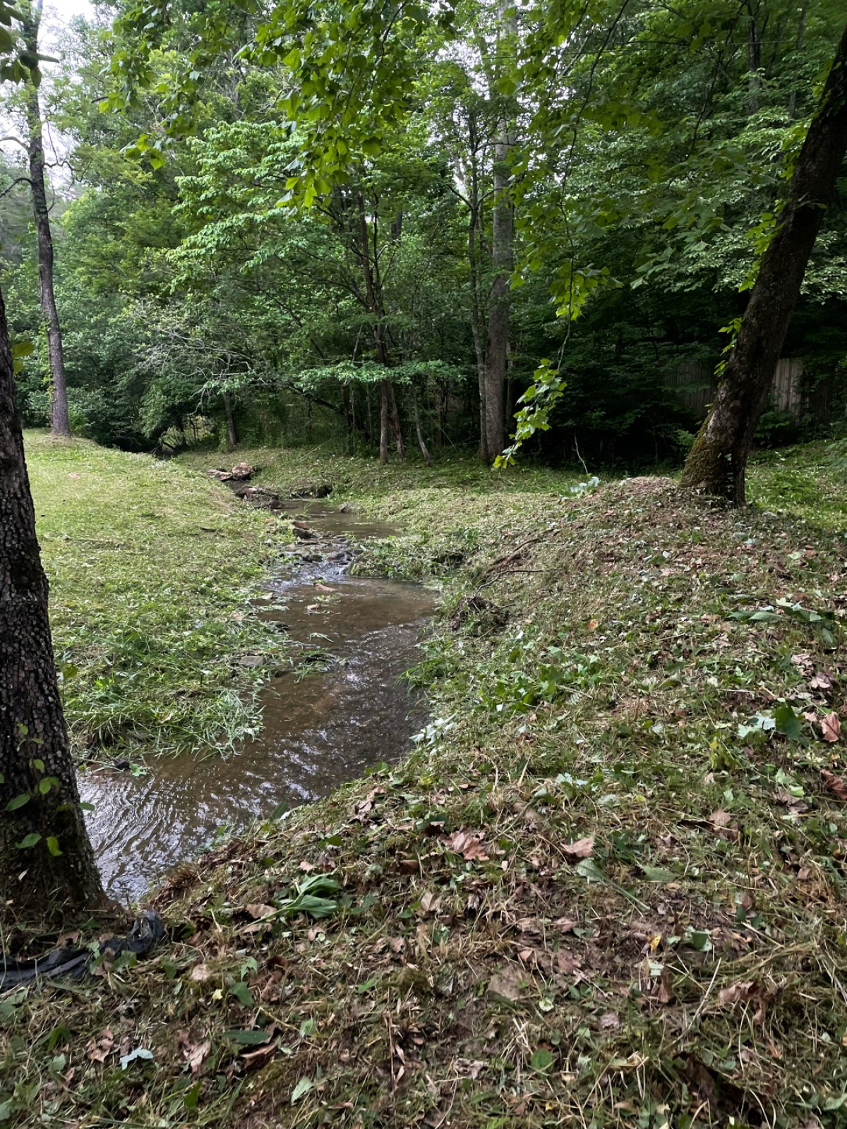 Pro Lawn Cut & Landscape Ellijay, GA, 30536 | Networx