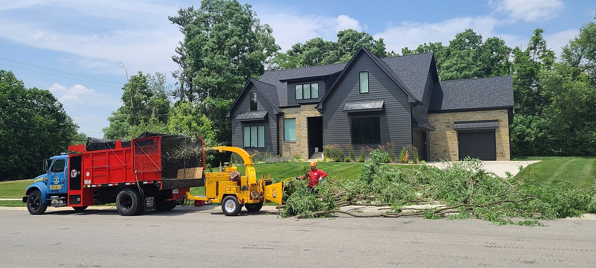 J&J Tree Management LLP Indianapolis, IN, 46218 | Networx