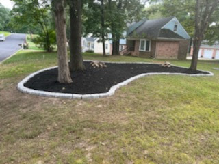 Just Try Me Services LLC Fredericksburg, VA, 22408 | Networx