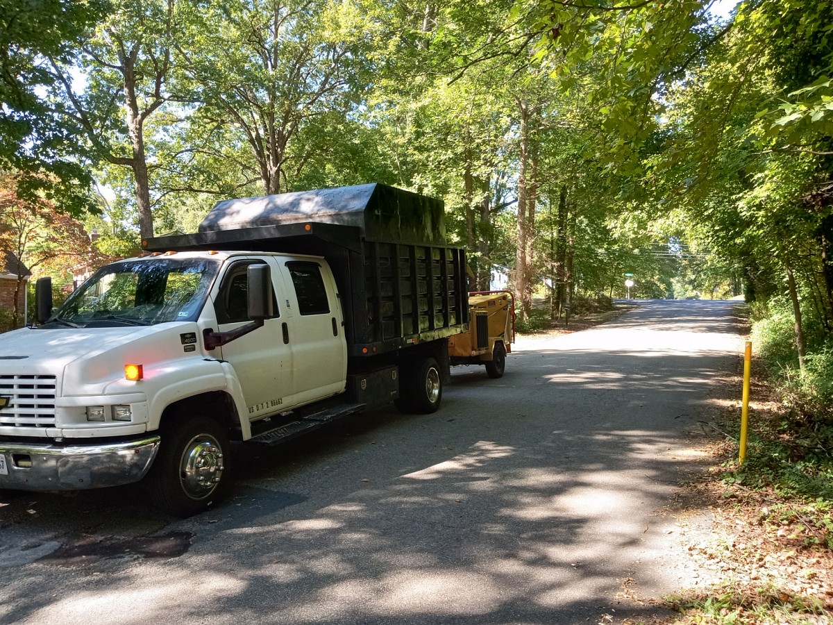 Just Try Me Services LLC Fredericksburg, VA, 22408 | Networx