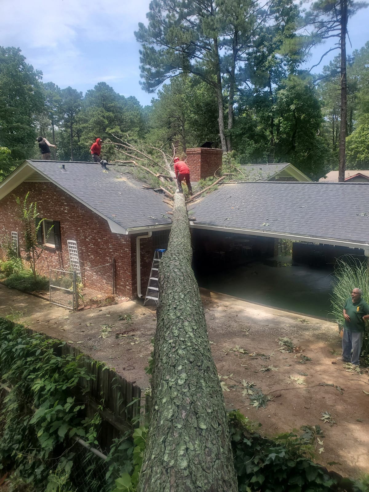 CR Tree Experts Buford, GA, 30519 | Networx