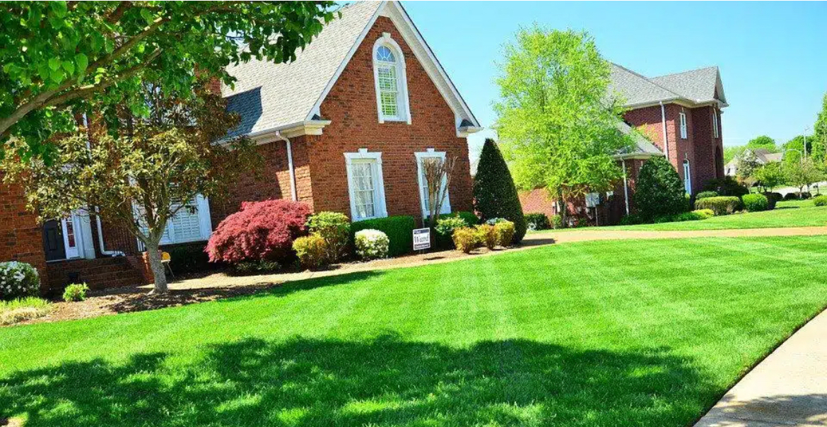 Oliphant Lawn Care Sheridan, AR, 72150 | Networx