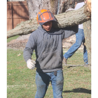 Spencer Tree Experts Easton, MD, 21601 | Networx