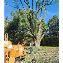 Spencer Tree Experts Easton, MD, 21601 | Networx
