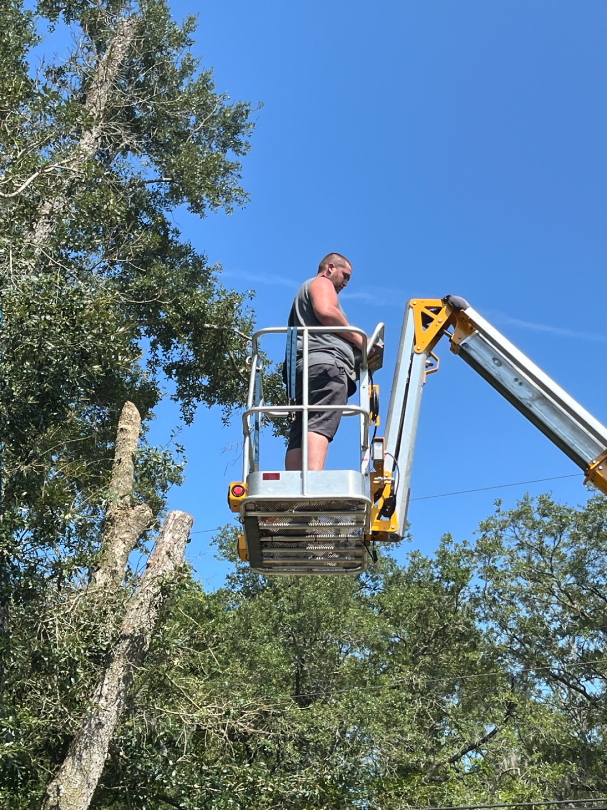 Complete & Total Tree Care Jacksonville, FL, 32258 | Networx