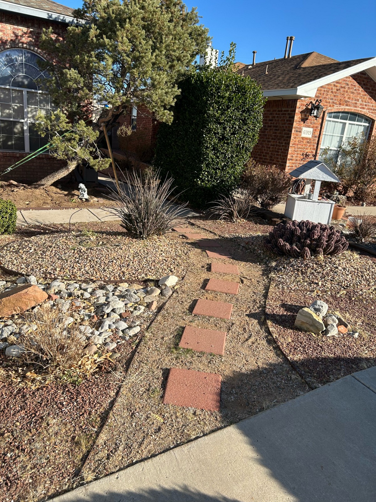 Revision Tree Company Albuquerque, NM, 87123 | Networx