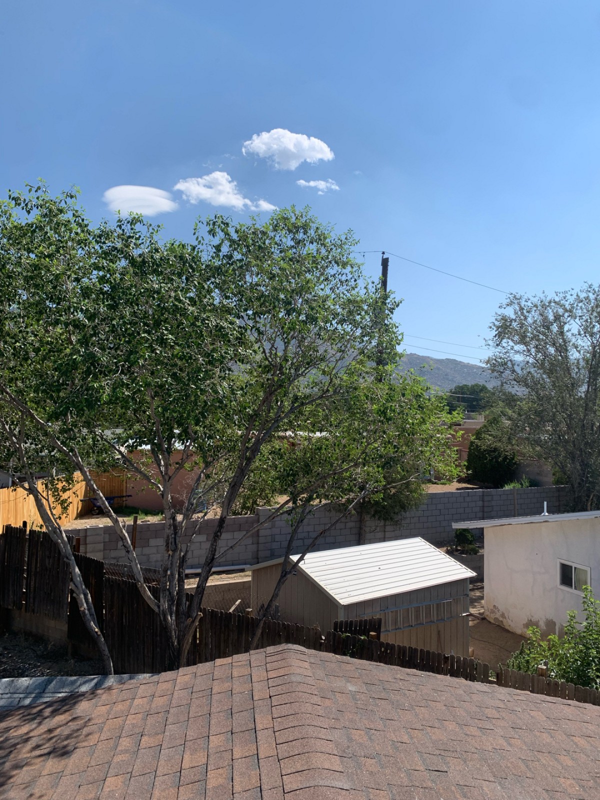 Revision Tree Company Albuquerque, NM, 87123 | Networx