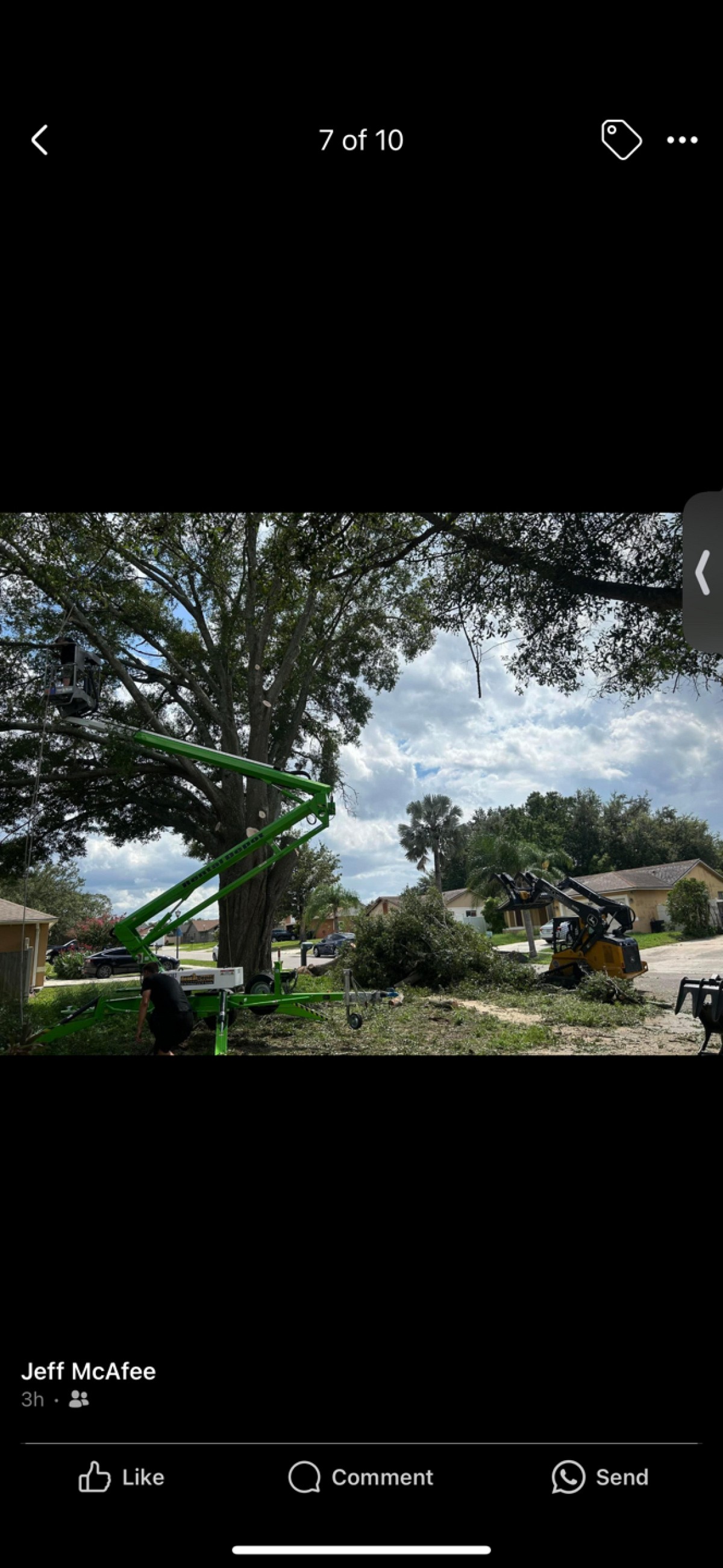 New Leaf Tree Service Florida Winter Springs, FL, 32708 | Networx