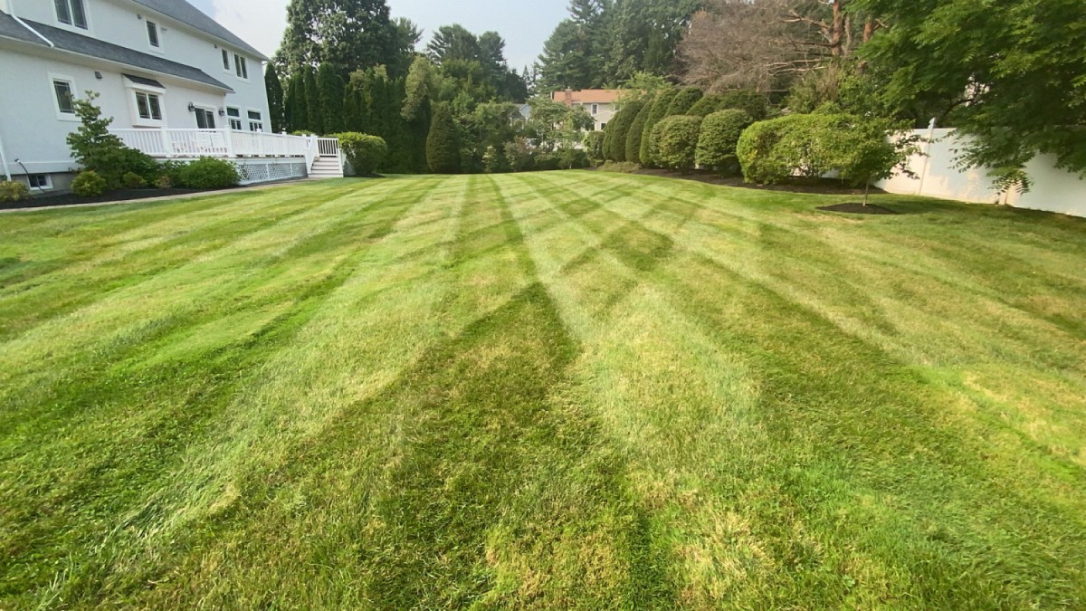 EM Pro Landscaping Methuen, MA, 01844 | Networx