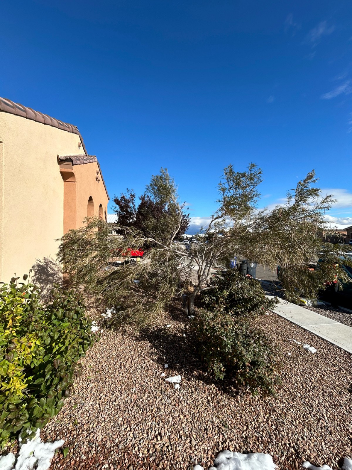 Revision Tree Company Albuquerque, NM, 87123 | Networx