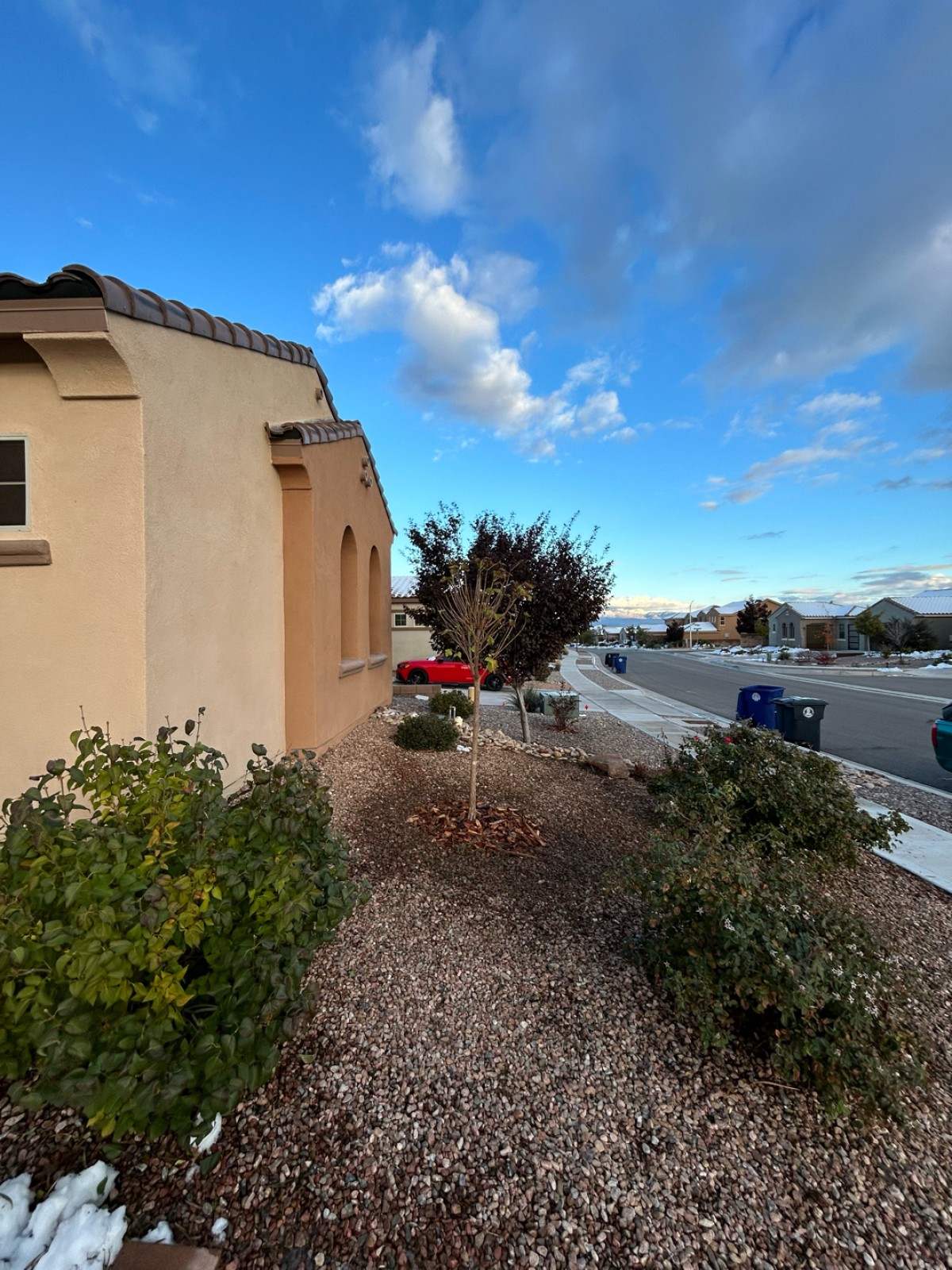 Revision Tree Company Albuquerque, NM, 87123 | Networx