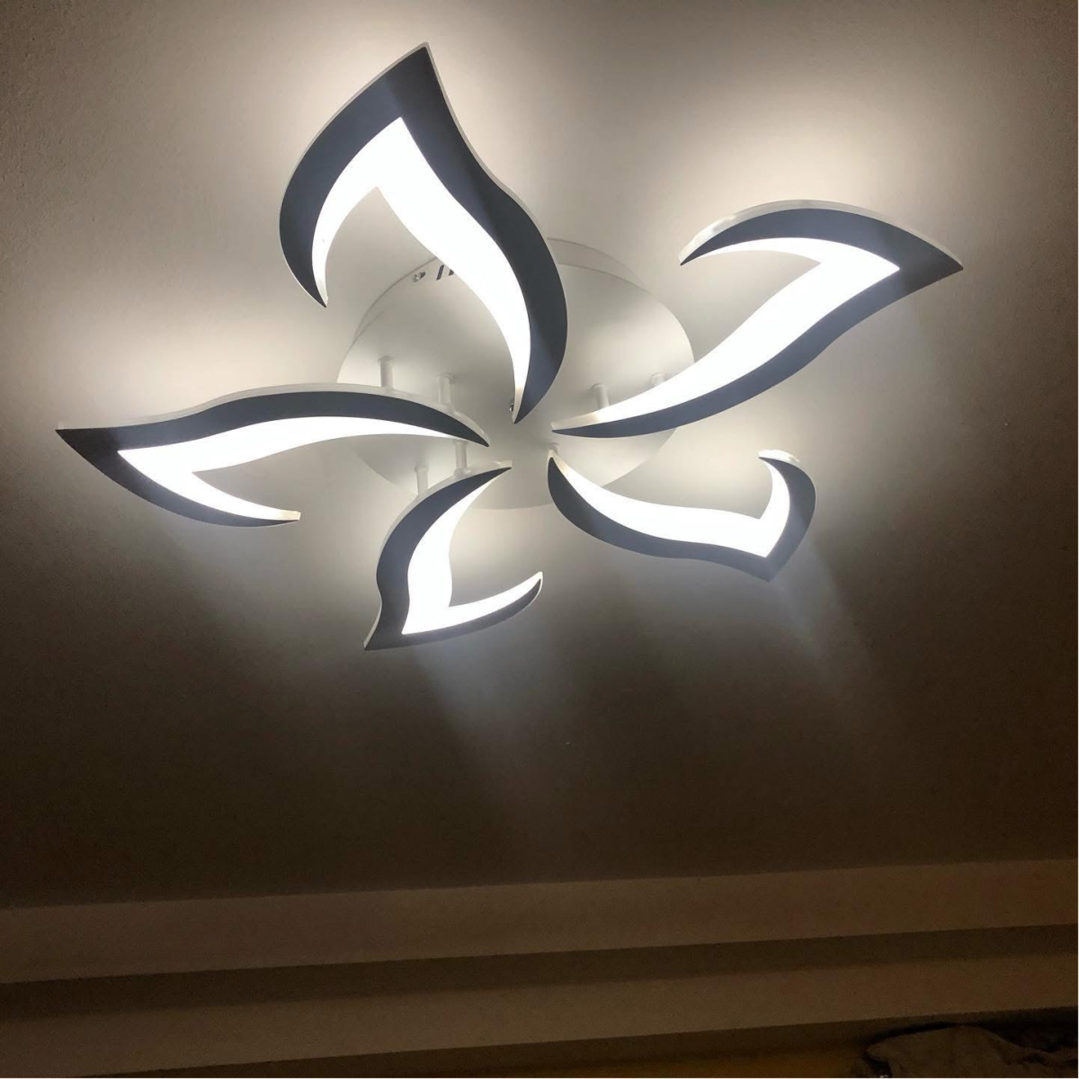 Eagle Eye Management Bronx, NY, 10467 | Networx