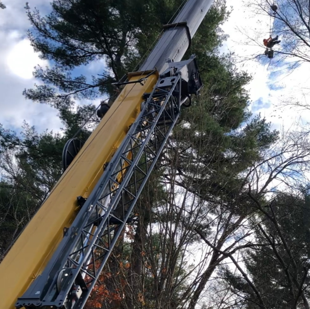 JD Tree and Landscape Service Middleton, MA, 01949 | Networx