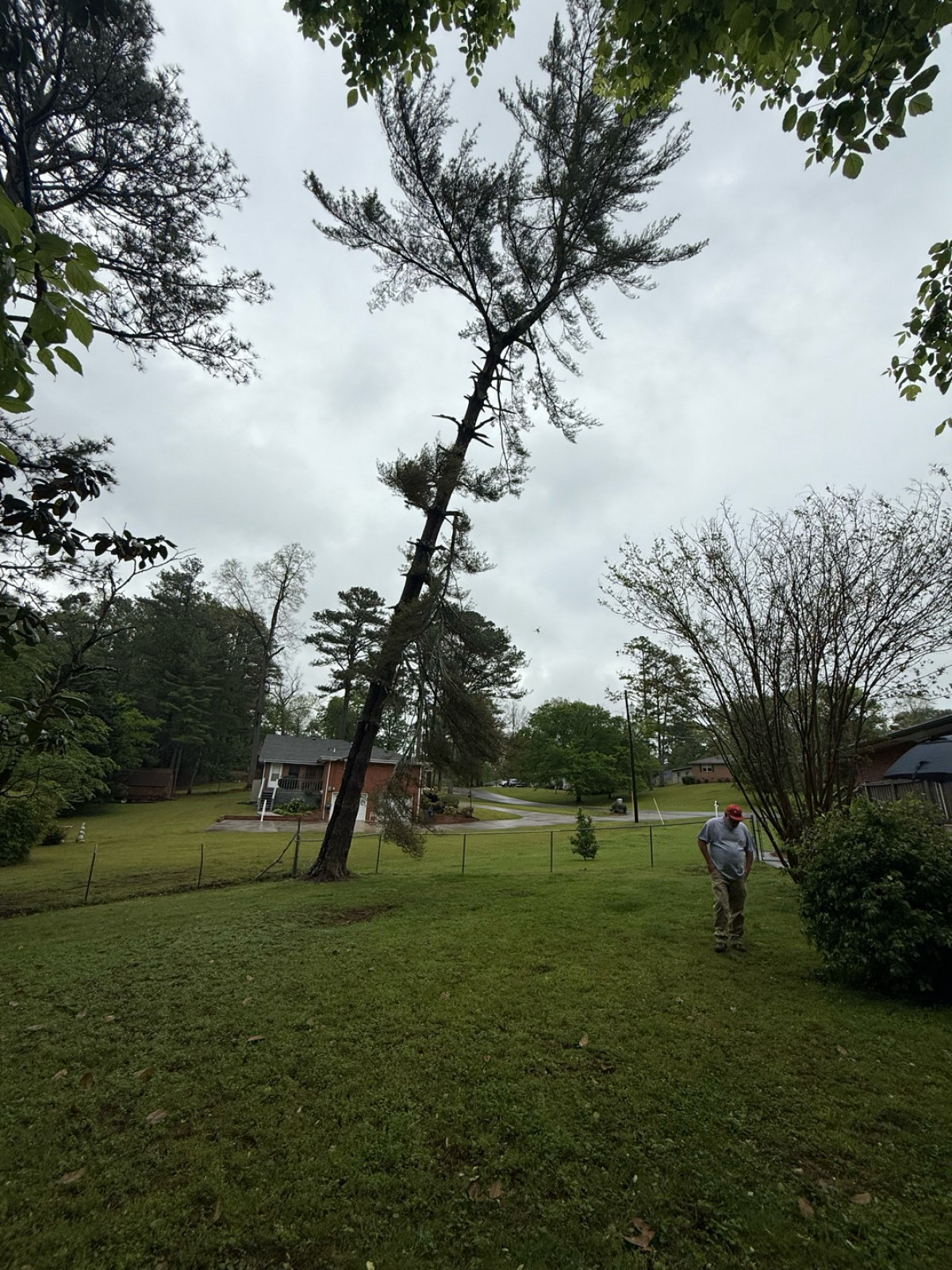 Elite Catastrophe Tree Service Rome, GA, 30165 | Networx