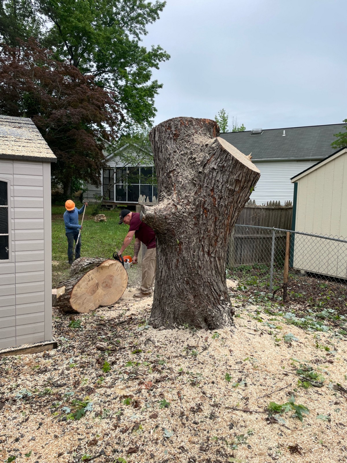 Ricks Integrity Tree Care Locust Grove, VA, 22508 | Networx