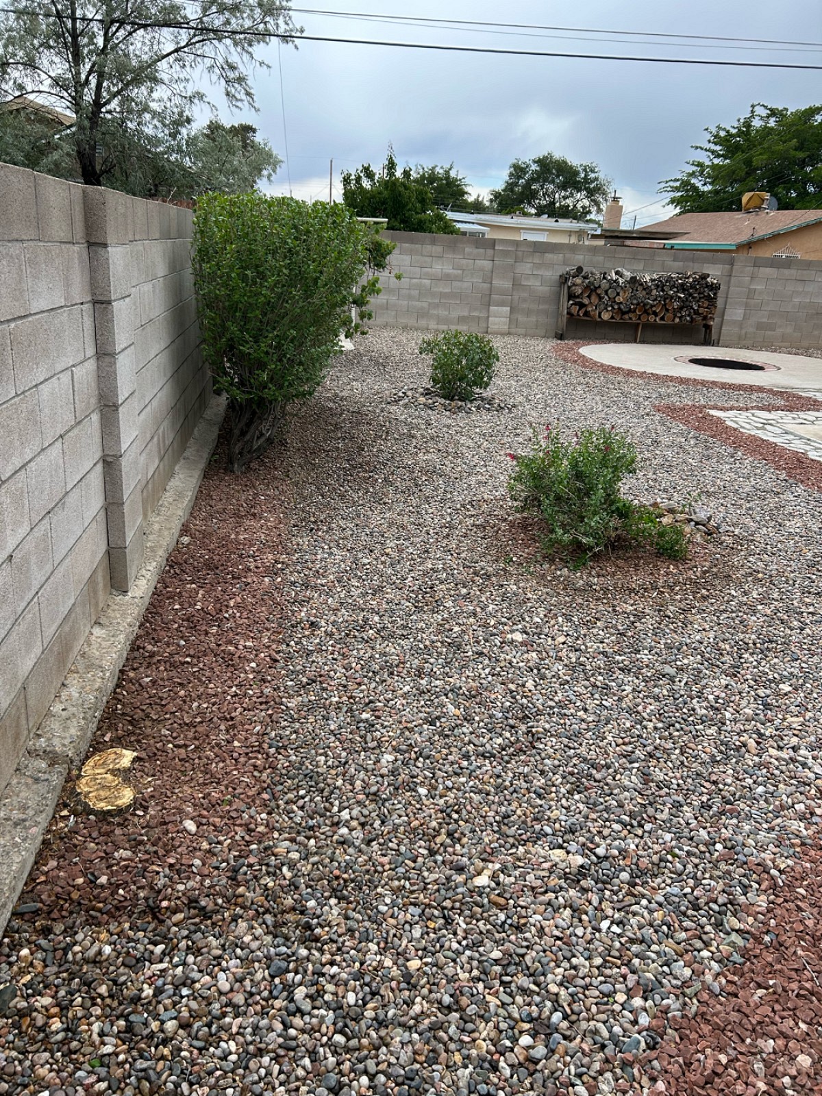 Revision Tree Company Albuquerque, NM, 87123 | Networx