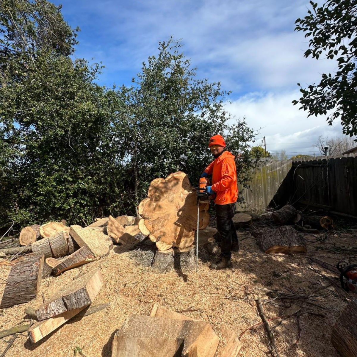 Heavenly Tree Service Concord, CA, 94520 | Networx