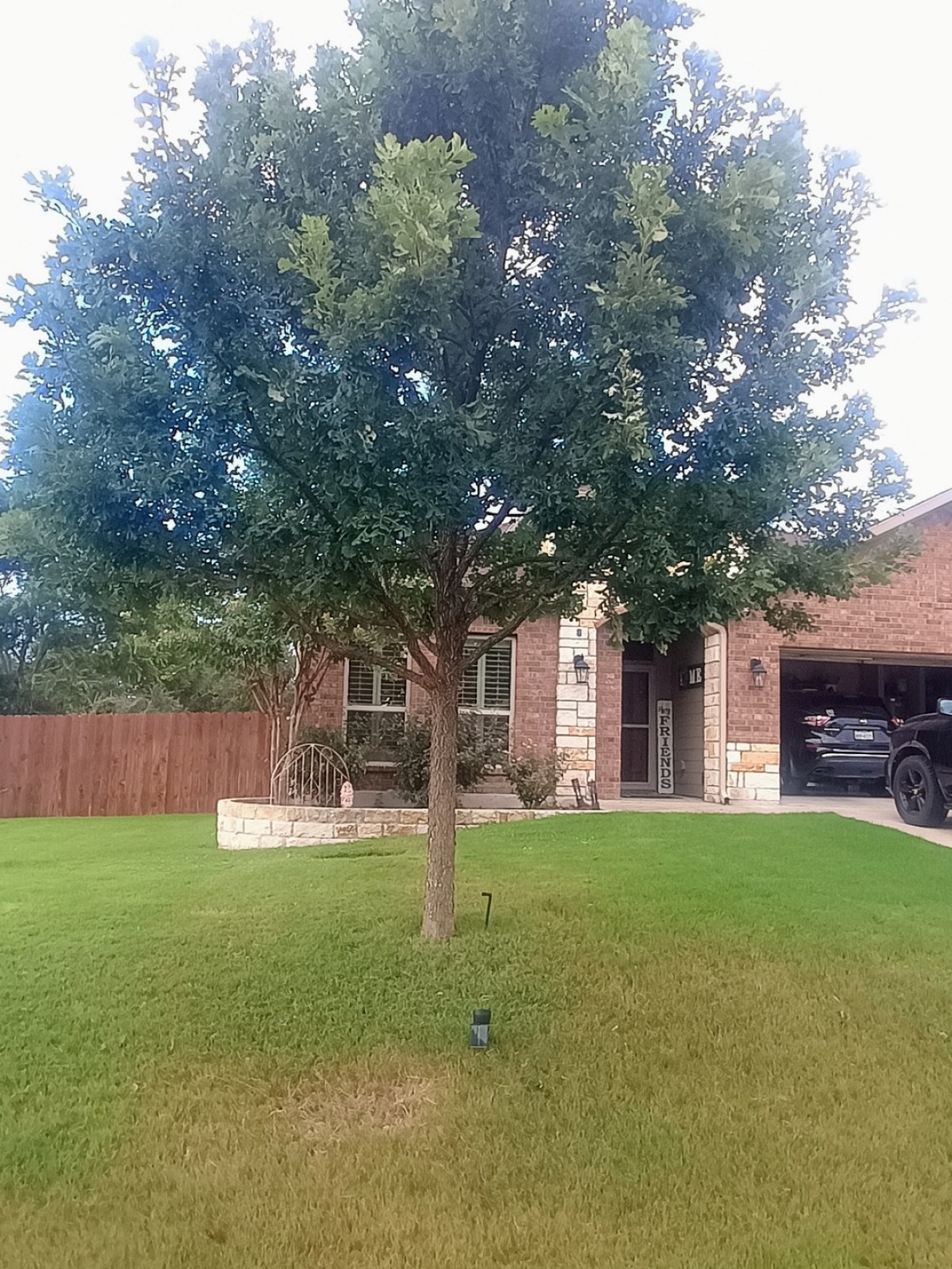 Tree-Mendous Care Harker Heights, TX, 76548 | Networx