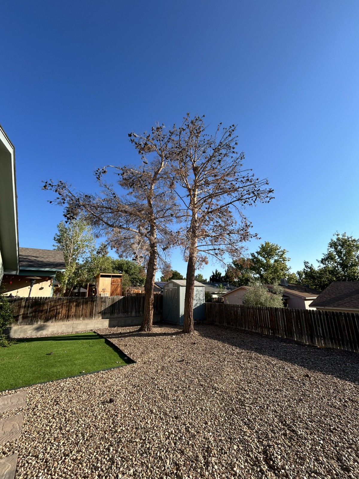 Revision Tree Company Albuquerque, NM, 87123 | Networx