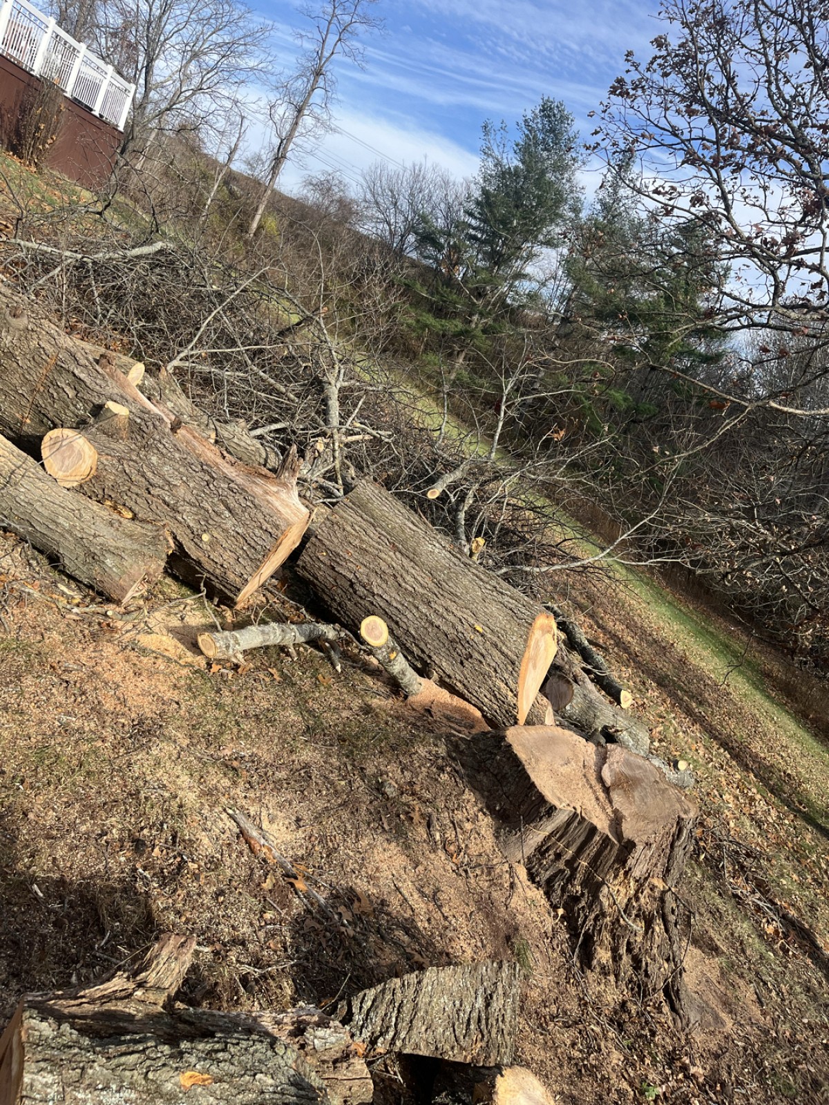 Legacy Tree Expert, LLC Evington, VA, 24550 | Networx