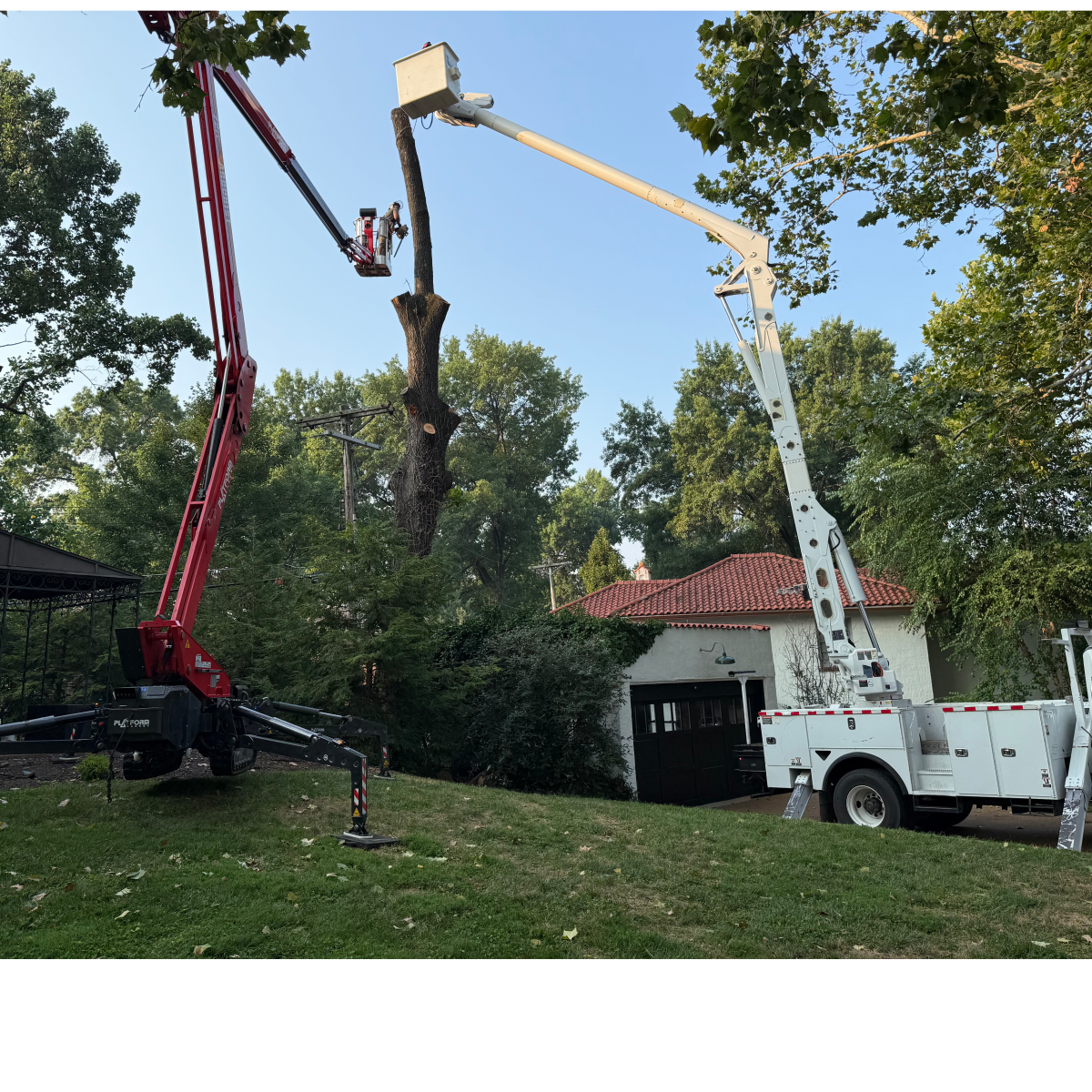 Jays Firewood, Mulch and Tree Service LLC Saint Mary, MO, 63673 | Networx