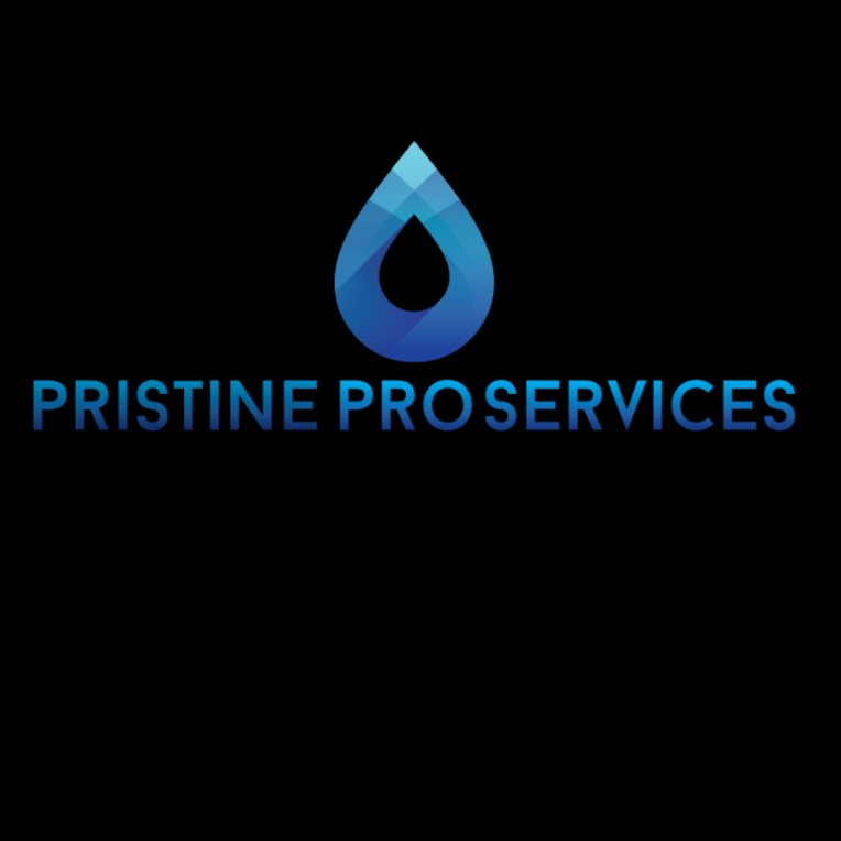 Pristine Pro Services Hampton, GA, 30228 | Networx
