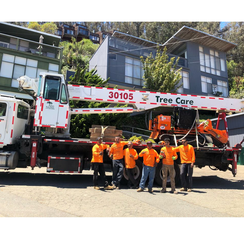 Julian Tree Care Richmond, CA, 94804 | Networx
