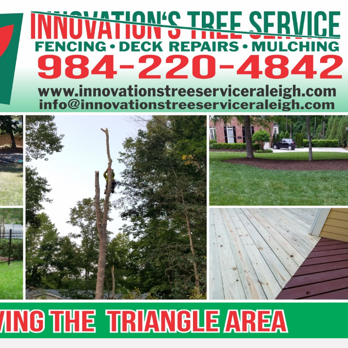 Innovations Tree Service Raleigh, NC, 27614 | Networx