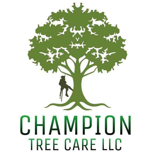 Champion Tree Care LLC Tampa, FL, 33625 | Networx