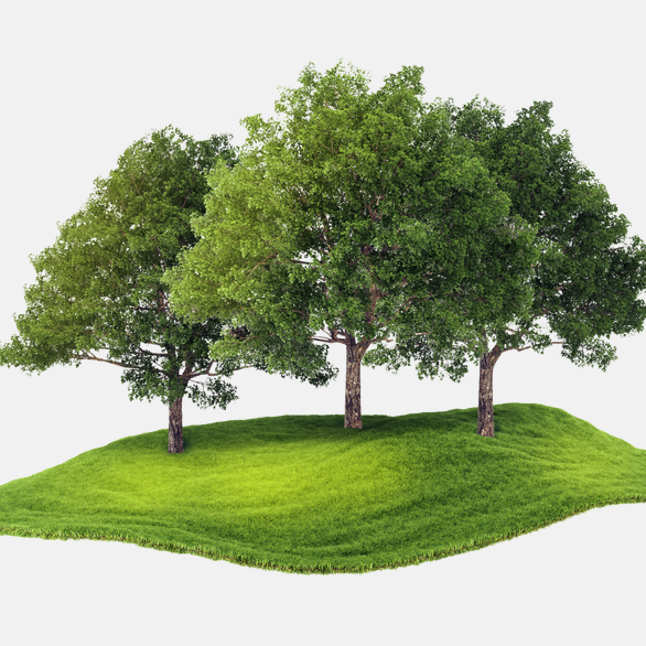 Cowboy Tree Service San Antonio, TX, 78212 | Networx