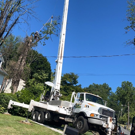 High Class Tree Service , LLC Succasunna, NJ, 07876 | Networx