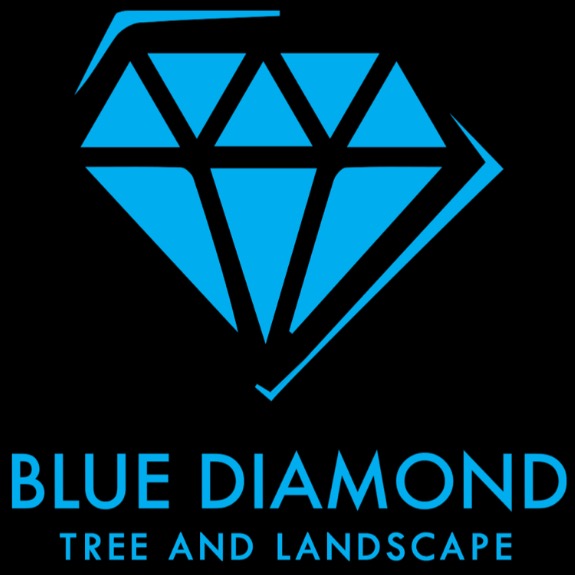 Blue Diamond Tree & Landscape Los Osos, CA, 93402 | Networx