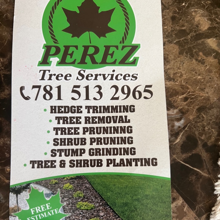 Perez Tree and Landscaping Lynn, MA, 01905 | Networx
