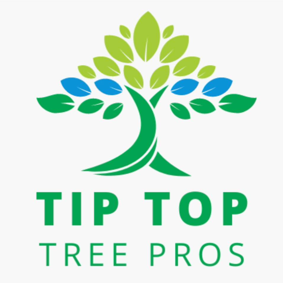 Tip Top Tree Pros Wheaton, IL, 60187 | Networx
