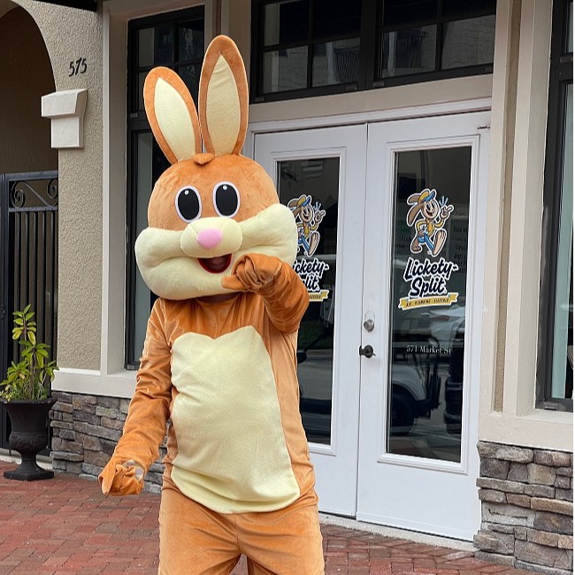 Lickety Split AC, Plumbing, Electric LLC Jacksonville, FL, 32256 | Networx