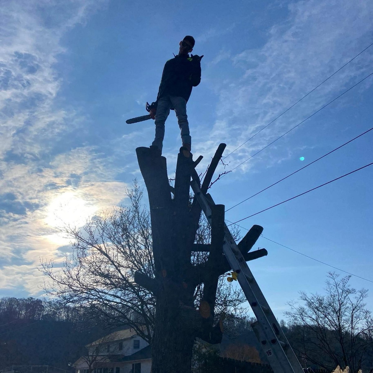 Tree Service Kingsport Tn